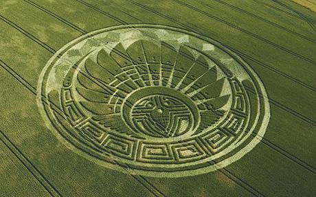 The Most Incredible Crop Circles In The World - DailyBuzzLive.com