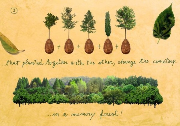 Ditch The Coffin! These ‘Pods’ Will Turn You Into A Tree When You Die ...