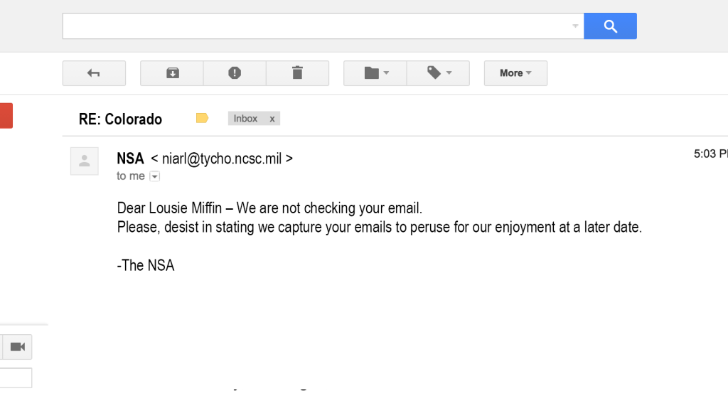 Woman Receives Email Reply From NSA – “We Are Not Monitoring Your Email.”